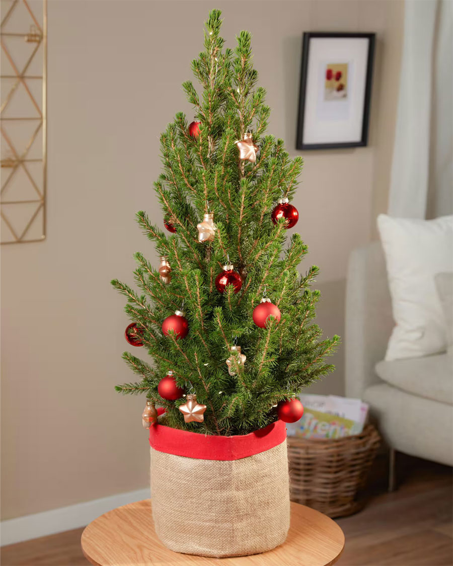 Decorated Christmas tree. | Christmas and New Year | Interflora Latvia ...